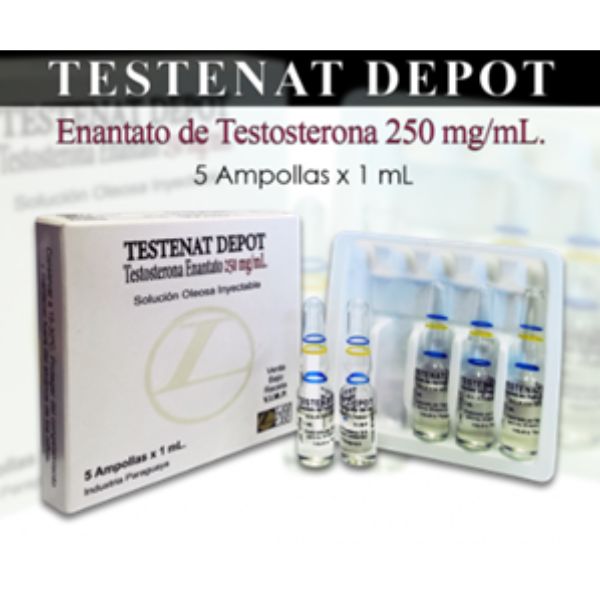 Testosterona Enantato Landerlan 250mg/4mL - Bobby Attack